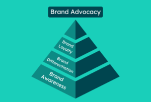 The Science Behind Brand Building: Why Some Brands Thrive and Others ...